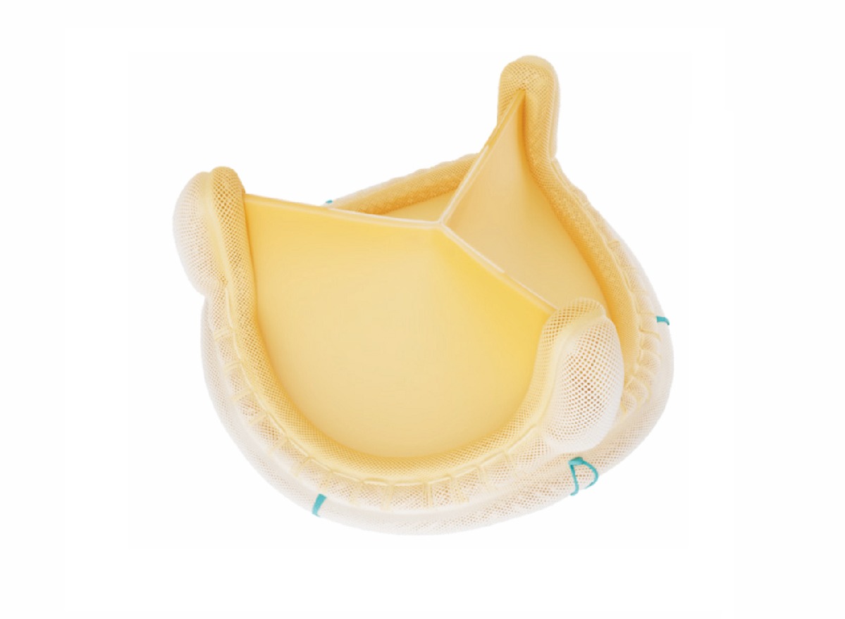 Medtronic plc launches the Avalus Ultra™ Bioprosthesis valve in India ...