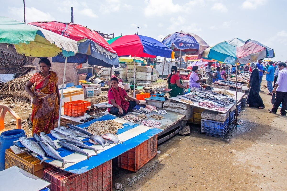 As Uruka celebrations get underway ahead of Magh Bihu, fish markets ...